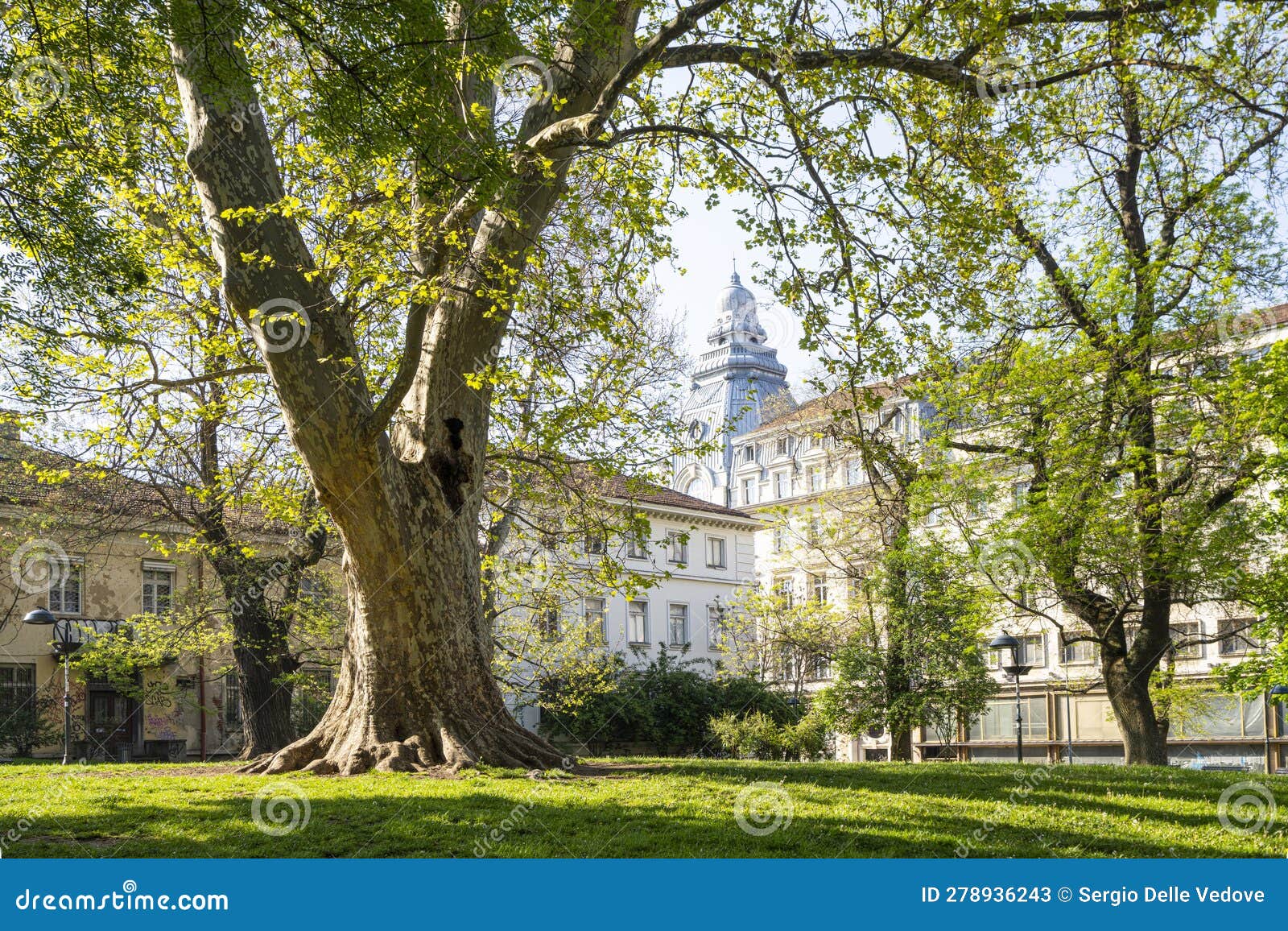 The Royal Garden in Sofia, Bulgaria Stock Image - Image of national, history: 278936243
