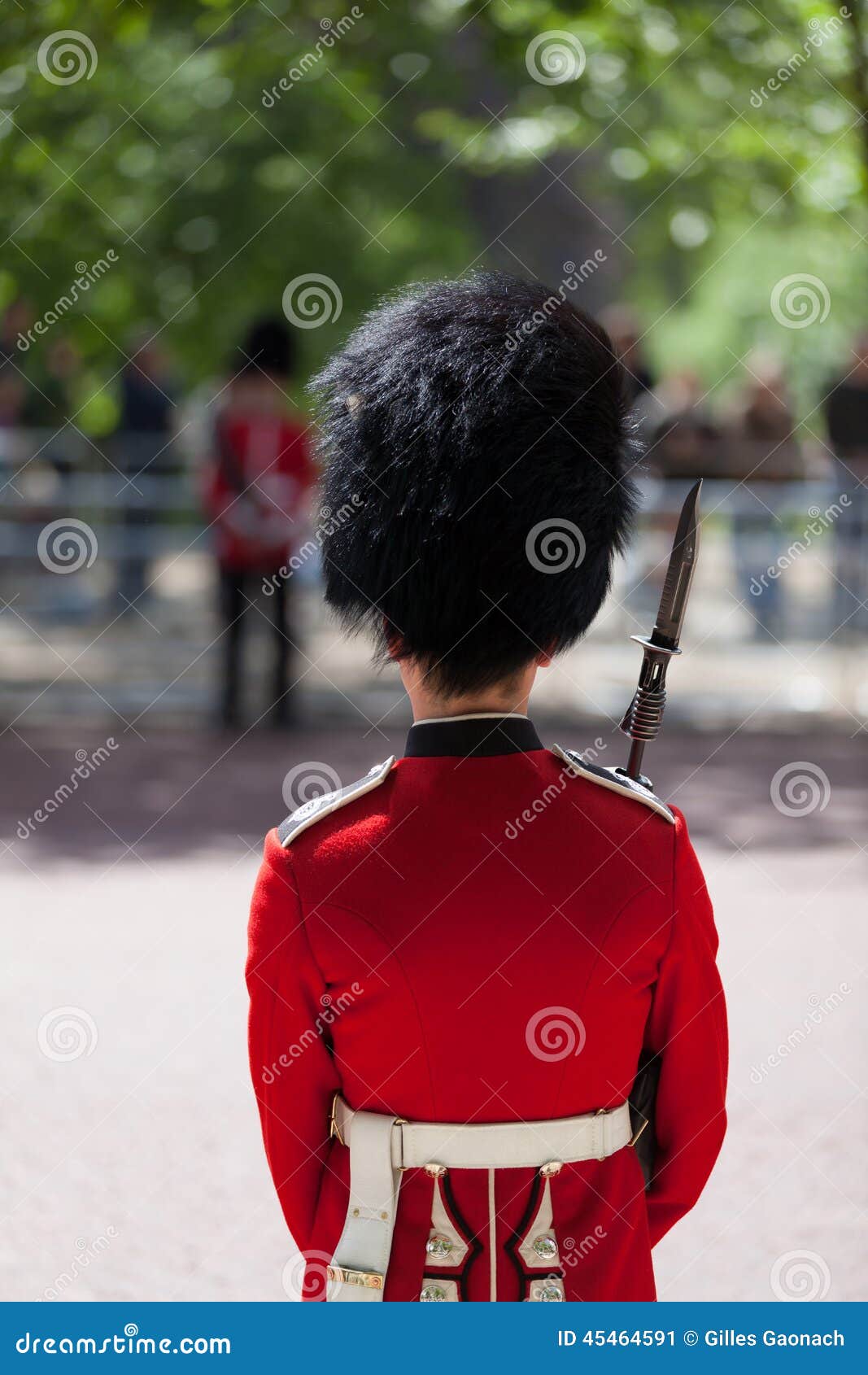 Royal guard with bearskin editorial photo. Image of royal - 45464591