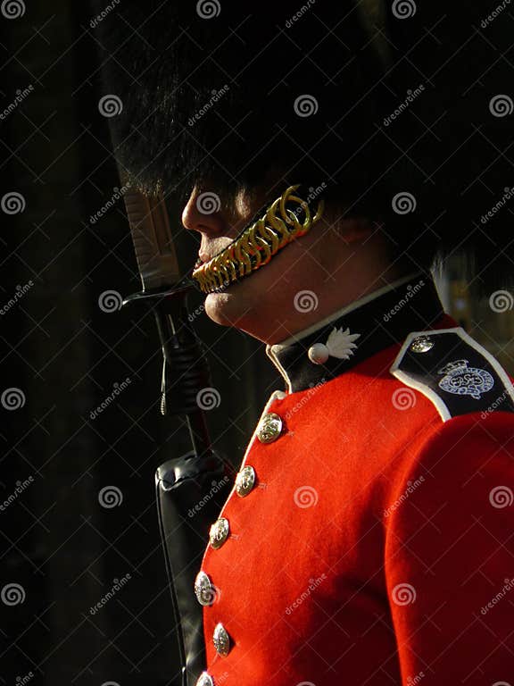 Royal guard in London editorial stock photo. Image of guard - 14932023