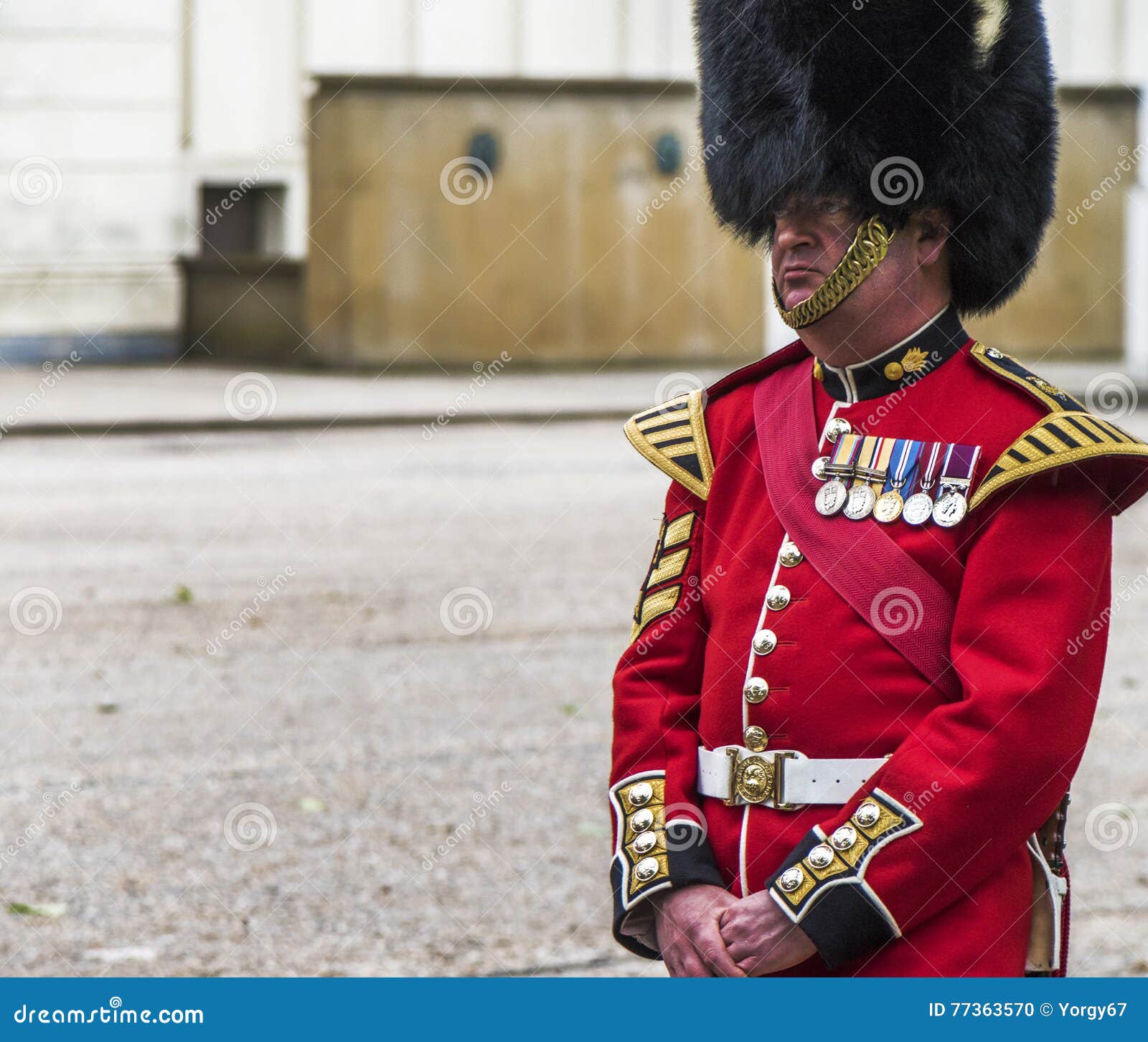 Royal Guard editorial image. Image of london, royal, guard - 77363570