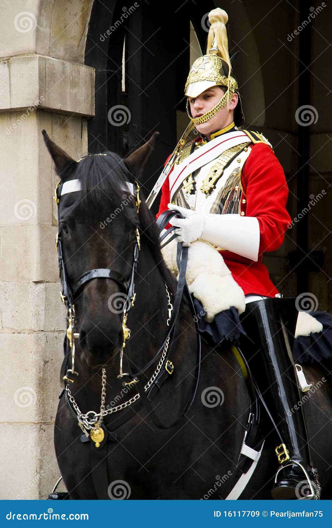 Horse Guard Editorial Image | CartoonDealer.com #31874928