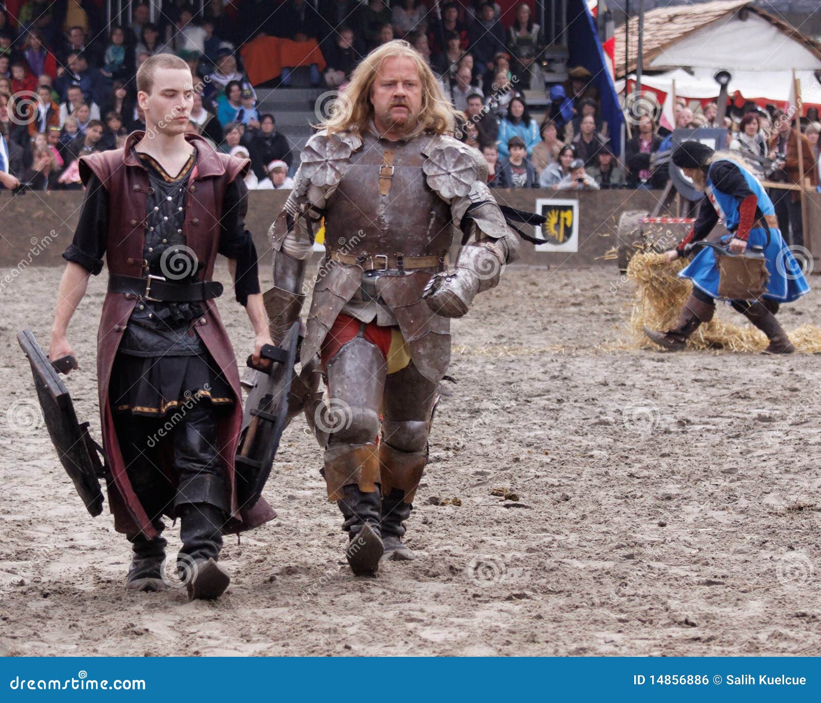 Royal knight editorial photo. Image of horse, colorful - 14856886