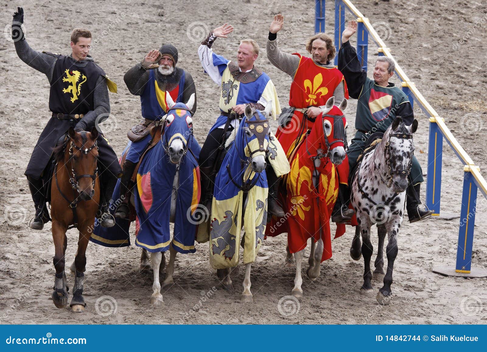 Royal knights editorial stock image. Image of helmet - 14842744