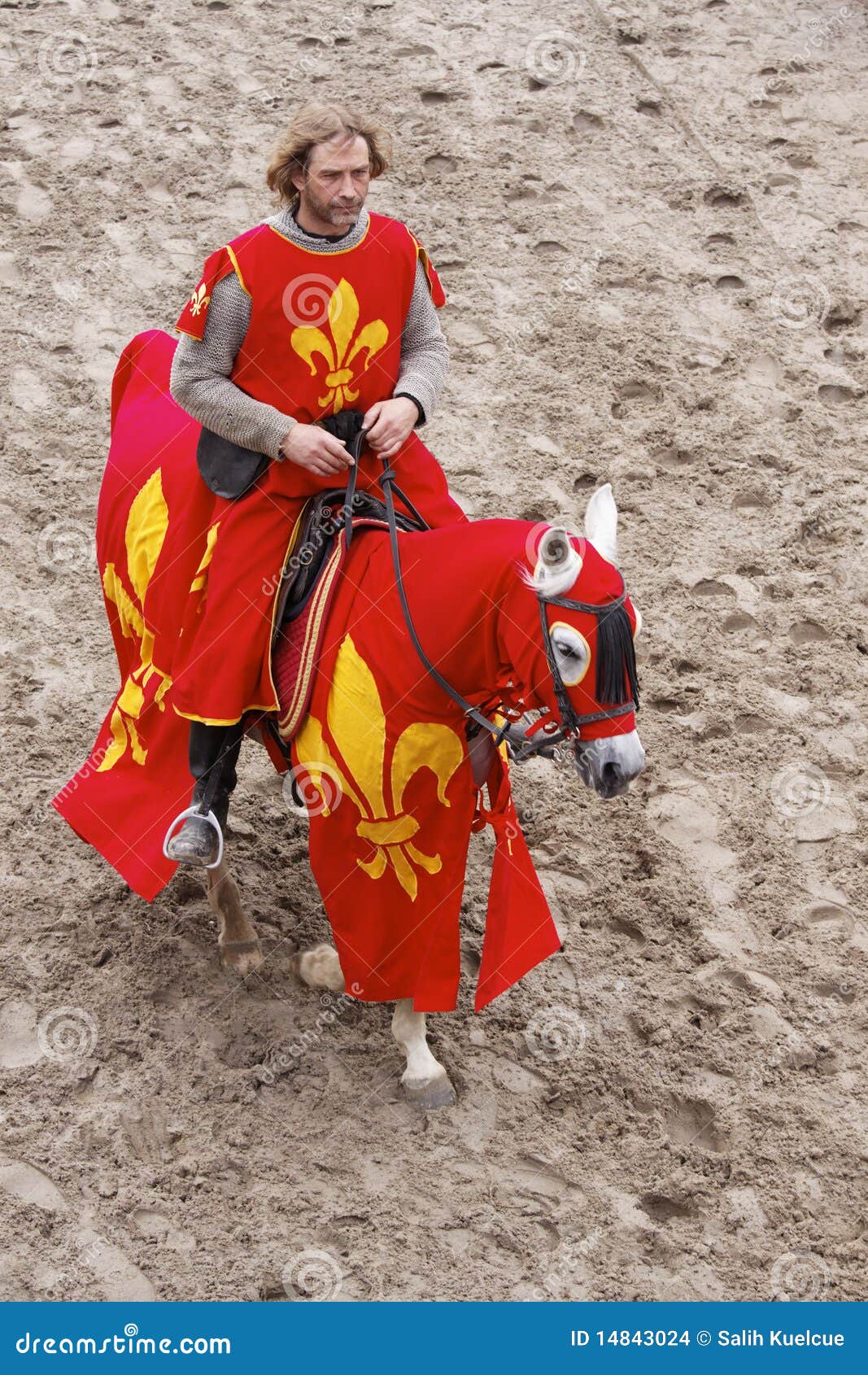 Royal knights editorial stock image. Image of medieval - 14843024
