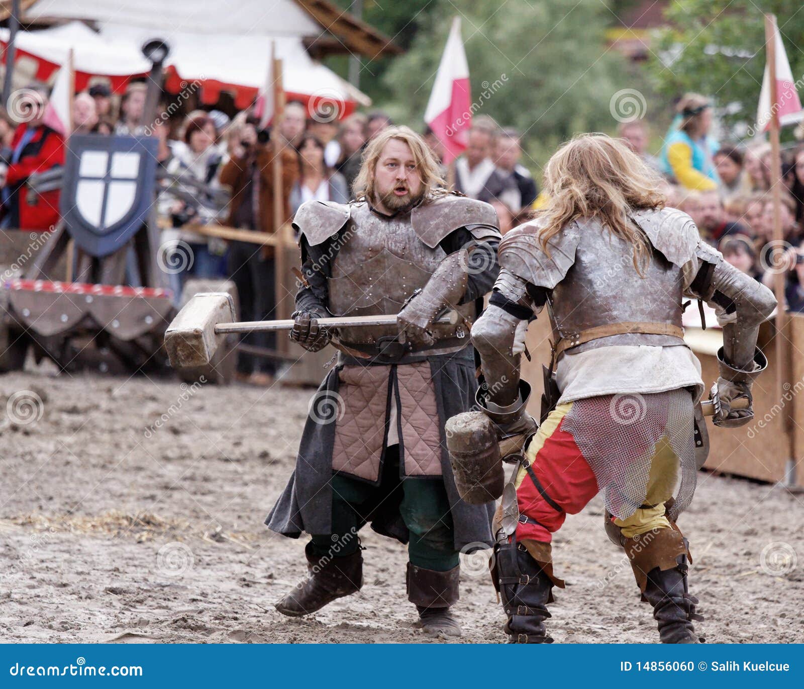 Royal knights editorial image. Image of armor, fighter - 14856060