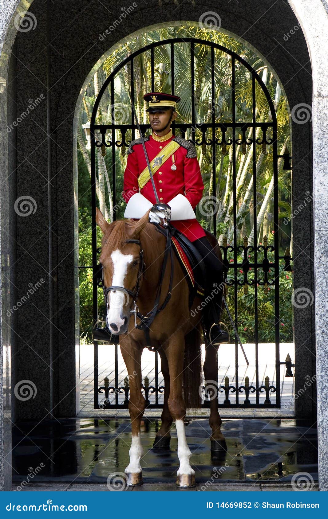 Royal palace guard editorial photography. Image of ceremony - 14669852