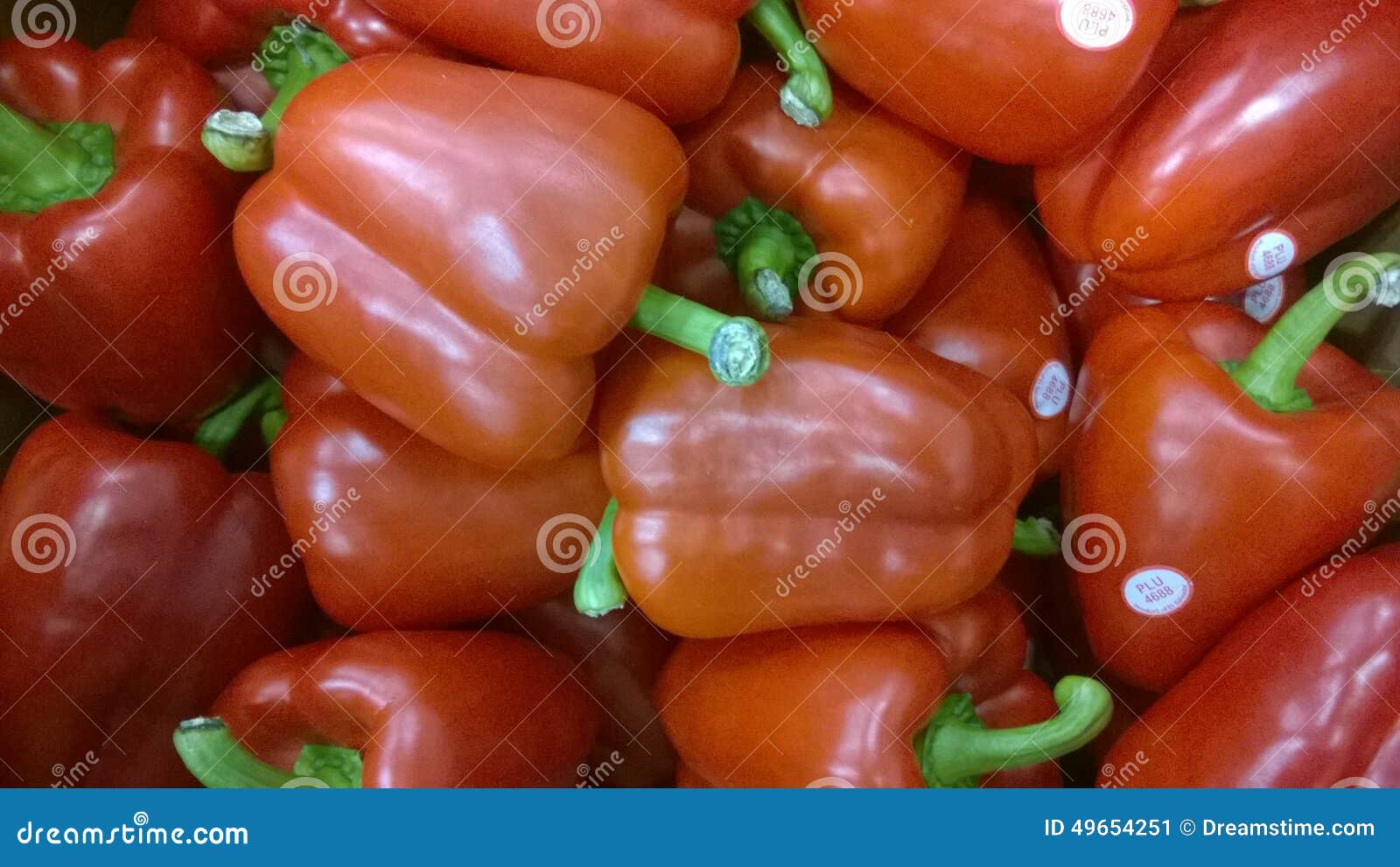Sweet Holland Bell Peppers Stock Photos - Free & Royalty-Free Stock ...