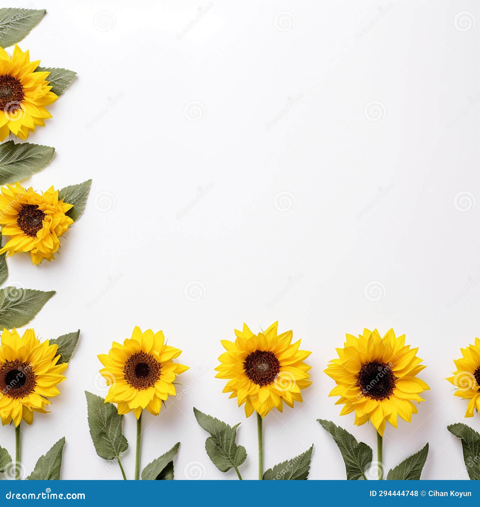 Royal sunflower border stock illustration. Illustration of ranunculus ...