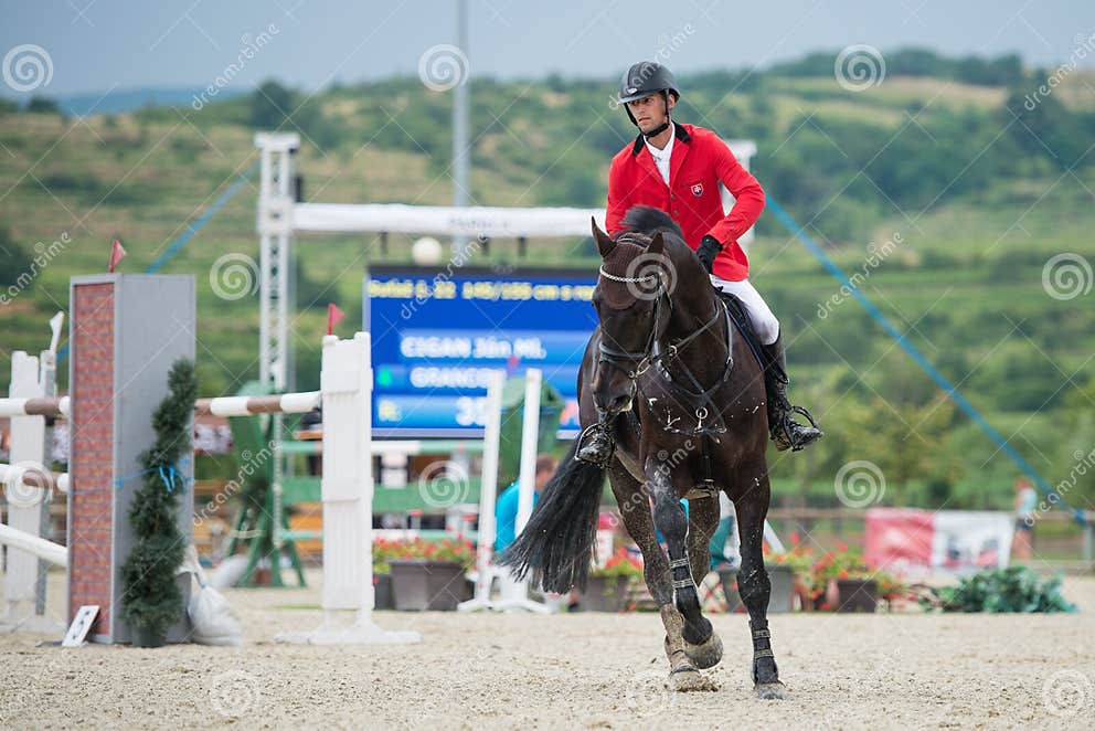Rozalka Cup 2014, Pezinok, Slovakia 图库摄影片 - 图片 包括有 培训, 骑马: 42084697