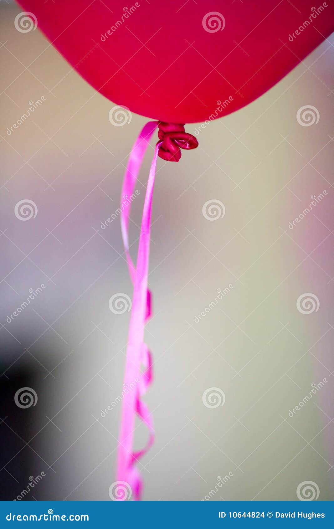 Roze ballon stock foto. Image of gekruld, knoop, band - 10644824