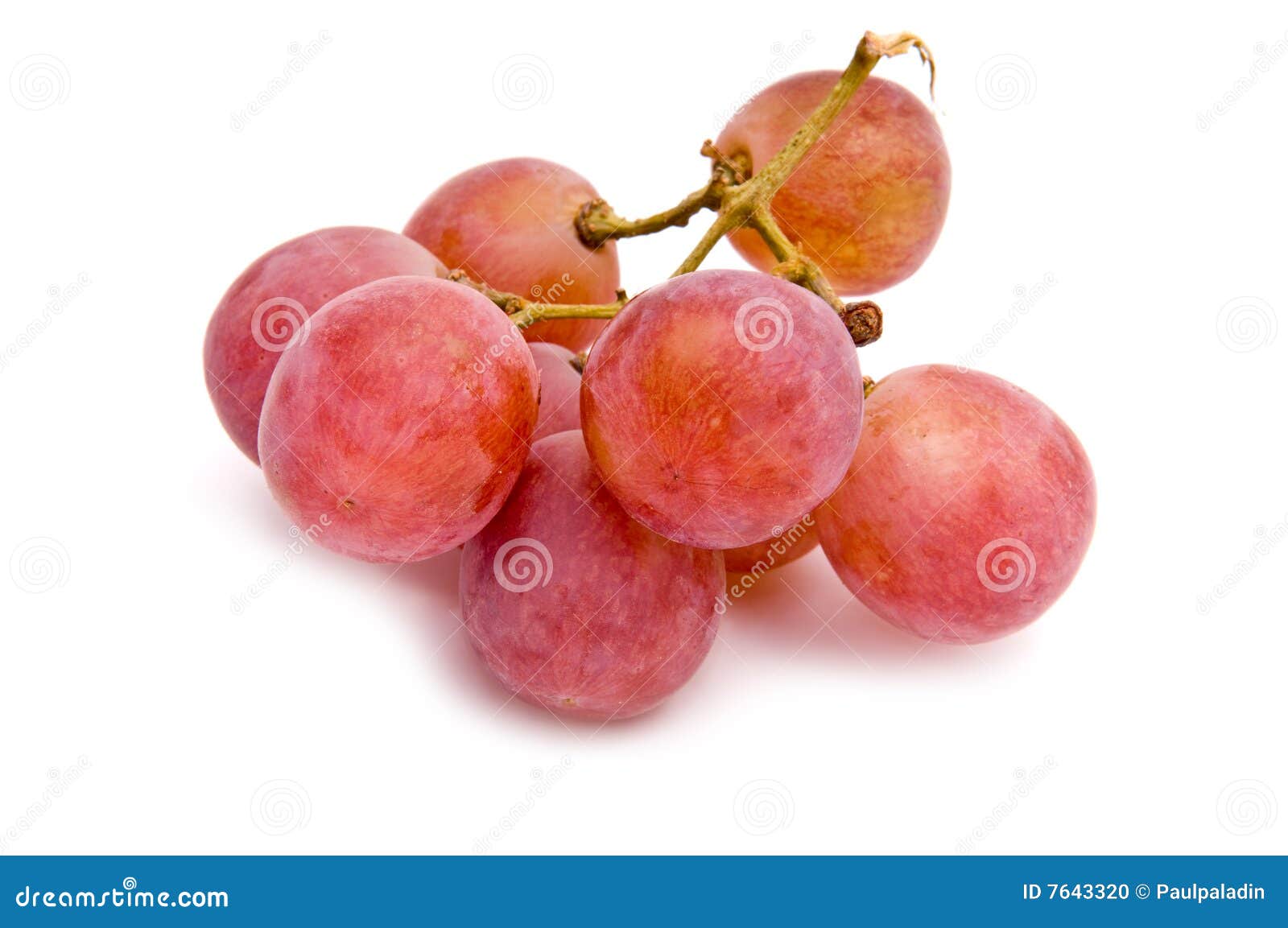 Roze druif stock foto. Image of vrucht, decoratie, groei - 7643320