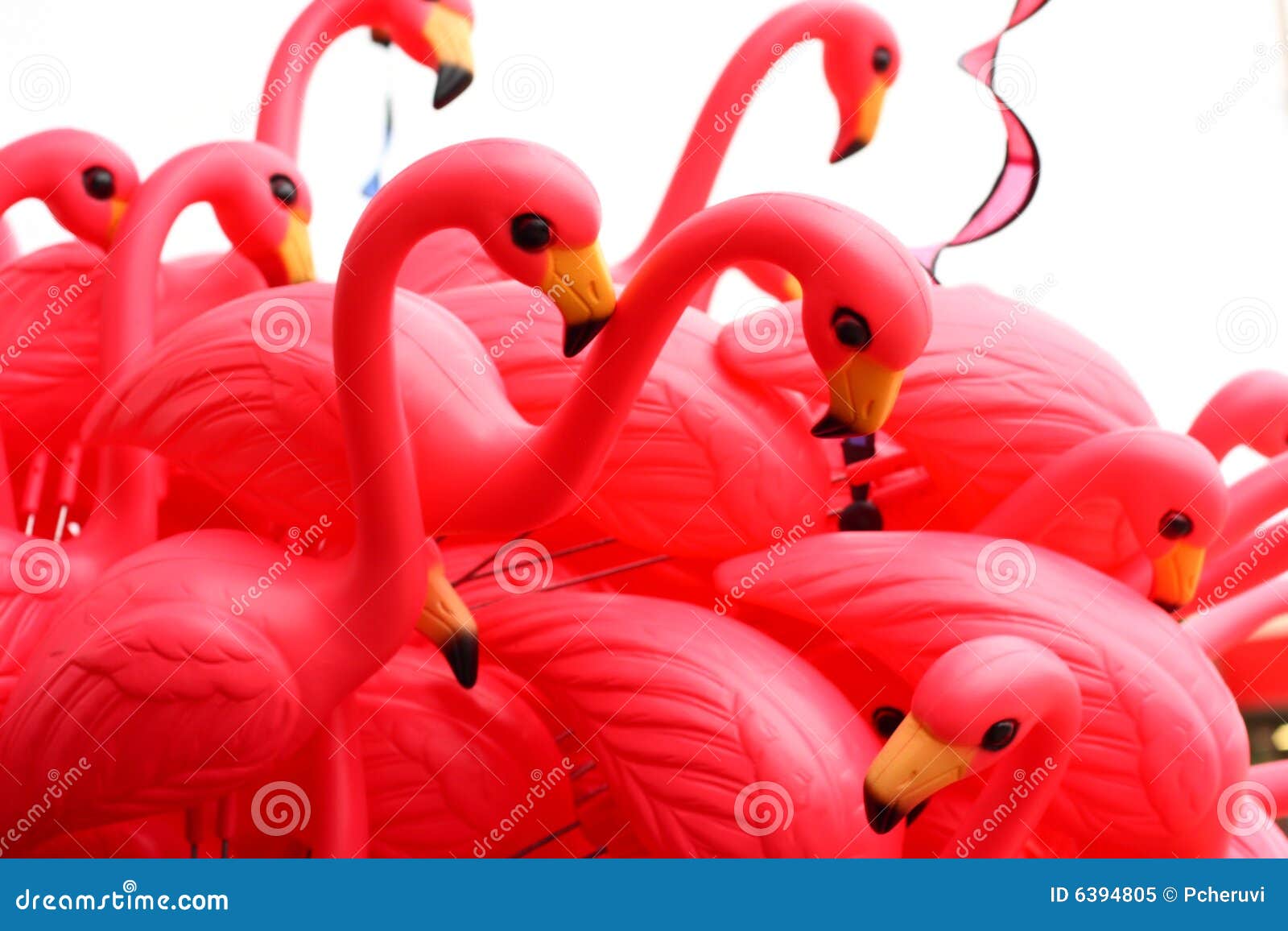 Roze Flamingo's stock afbeelding. Image of kleur, veer - 6394805