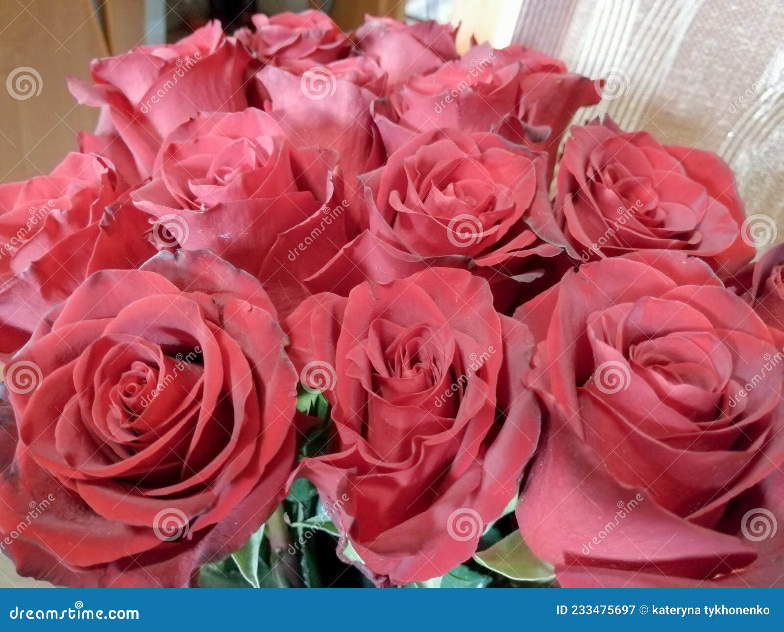 Roze, flowers,, beautiful stock image. Image of nature - 233475697