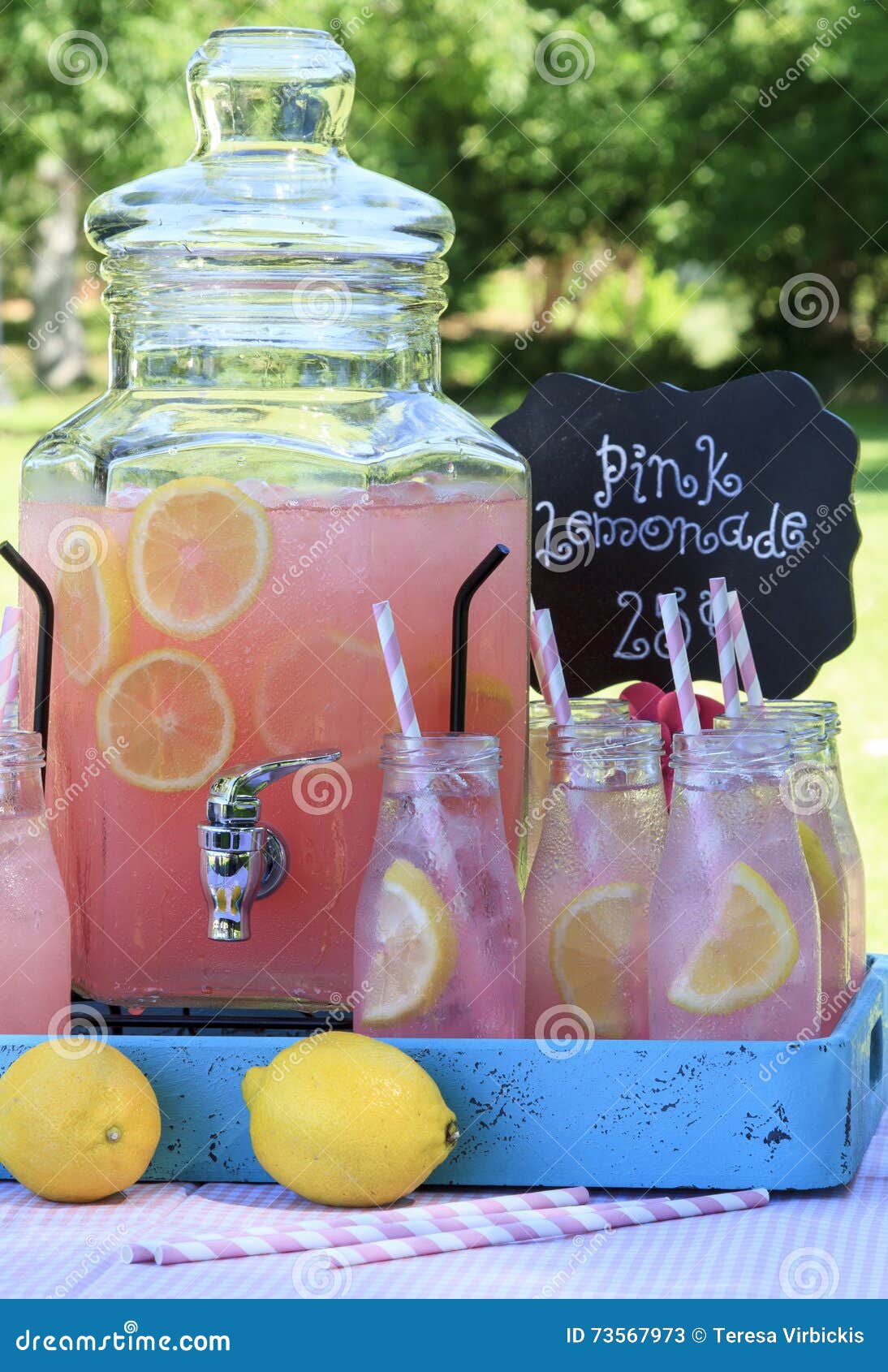 Roze Limonade Bij Picknick in Park Stock Afbeelding - Image of ...