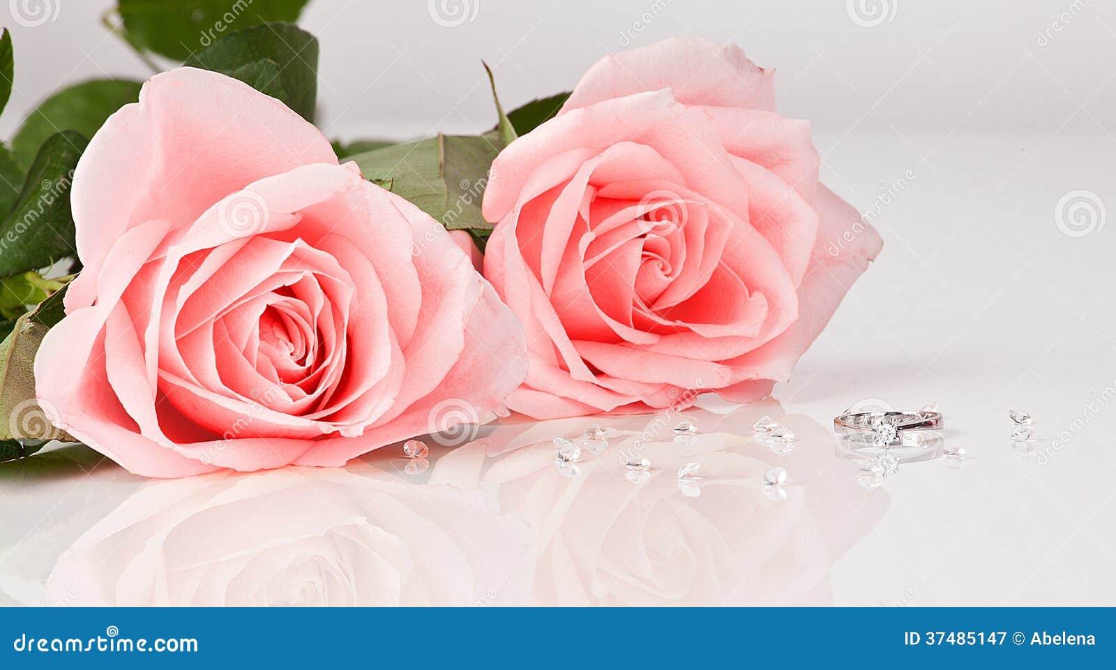 Roze Rozen Met Diamantring Op Witte Achtergrond Stock Afbeelding ...