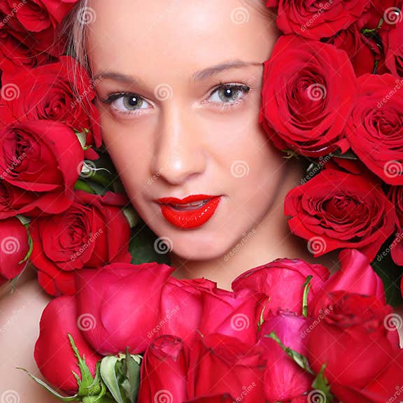 In rozen stock foto. Image of sluit, bloemen, gezond, gelukkig - 8624926