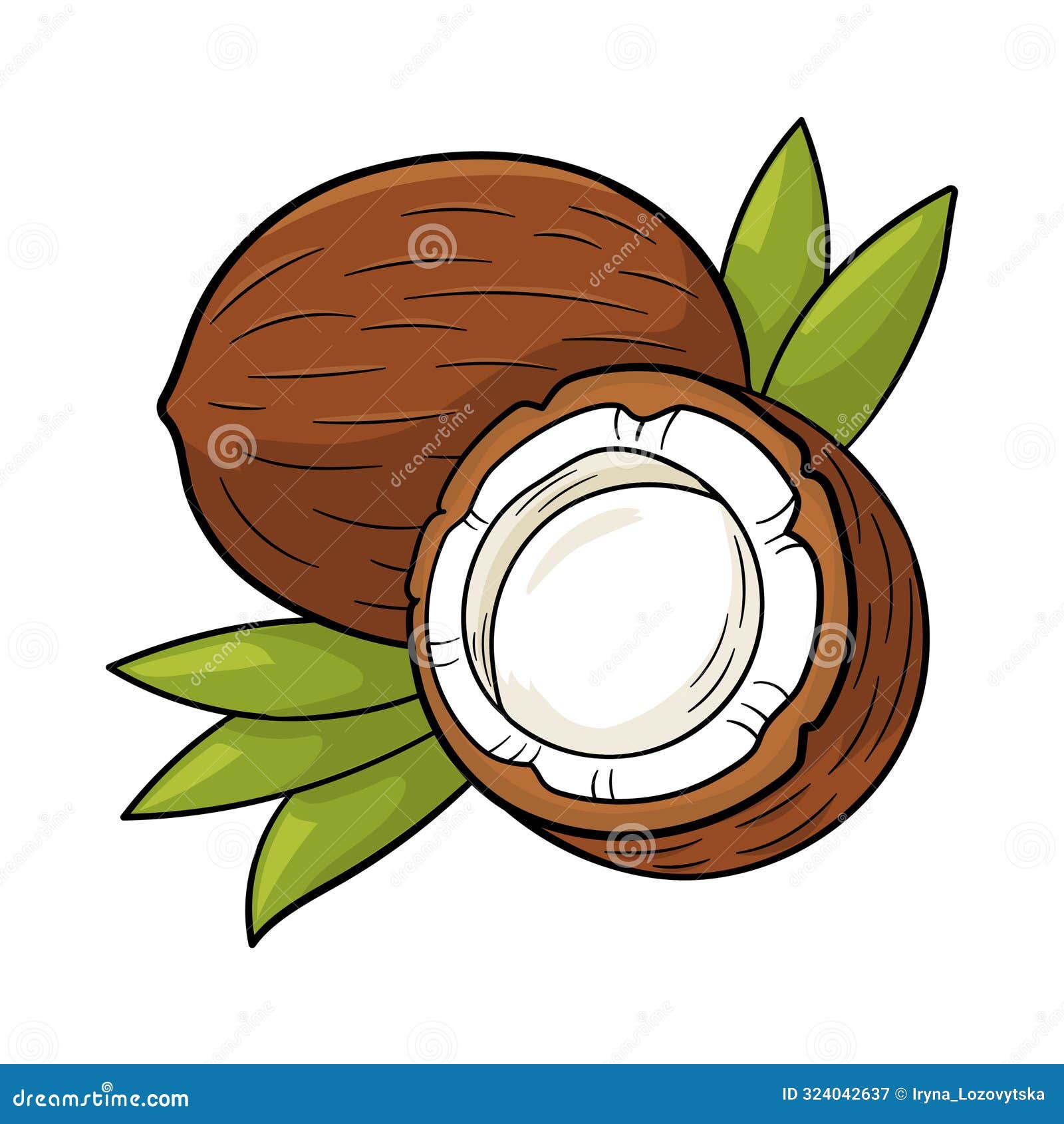 Rpe Coconut In Cartoon Style | CartoonDealer.com #324042637