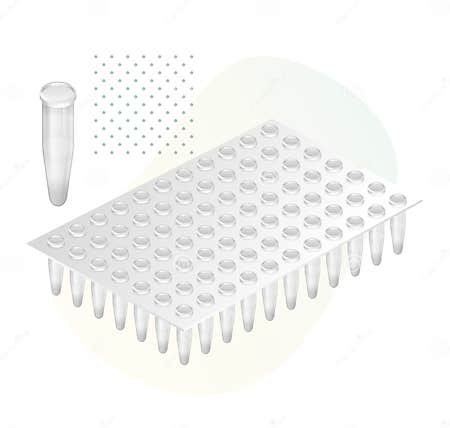 RT-PCR Testing - PCR Tray - Illustration Stock Vector - Illustration of ...