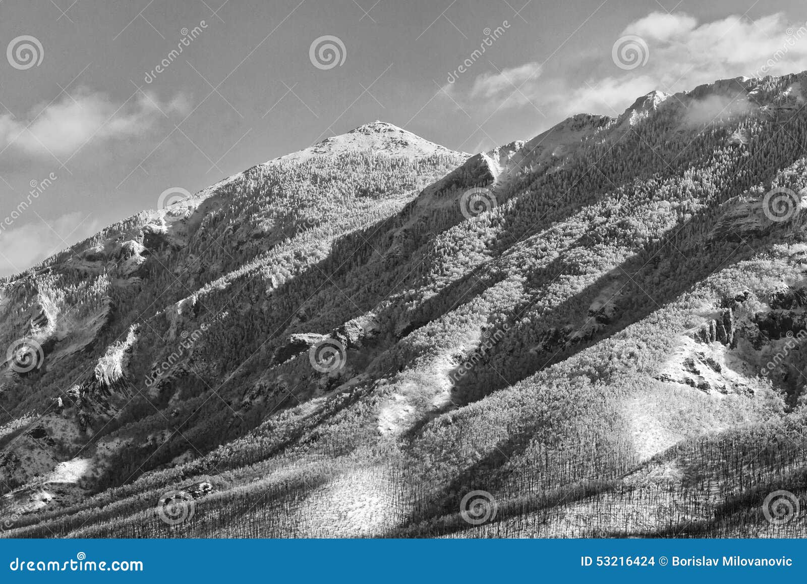 Rtanj Mountain in the Winter 18 Stock Photo - Image of branches ...