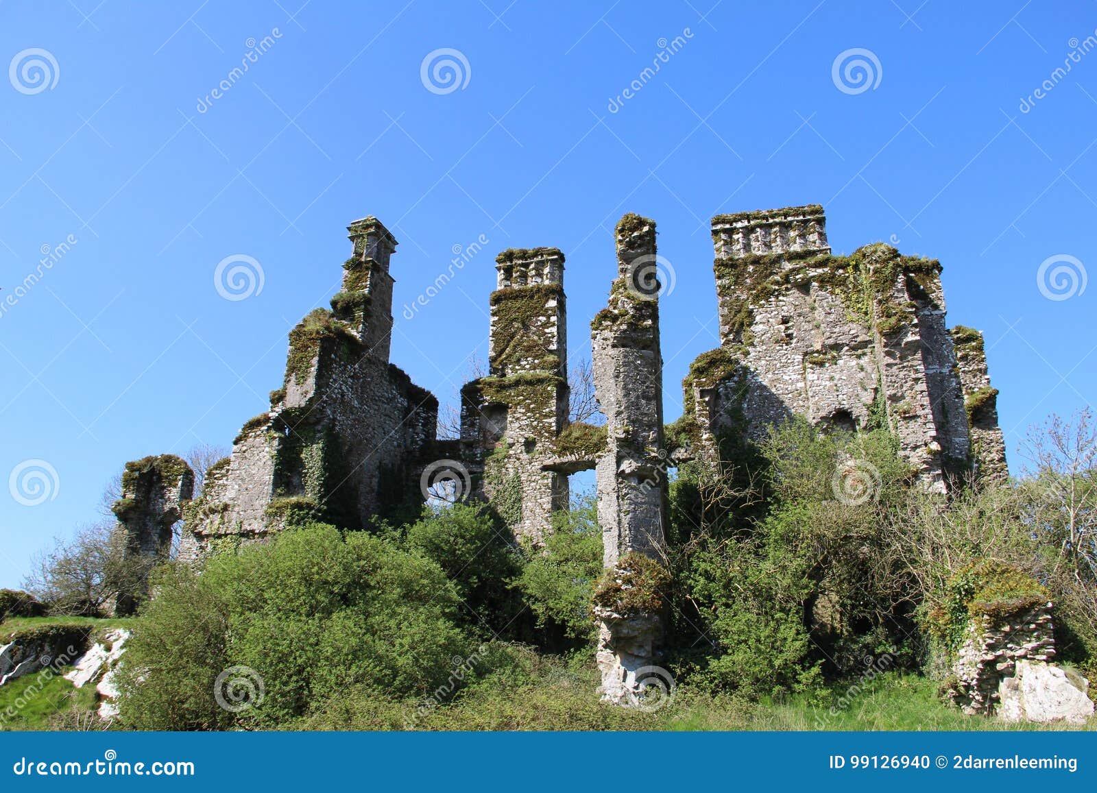 Ruïnes Van Kasteel Lyon in Castlelyons, Ierland Stock Foto - Image of ...