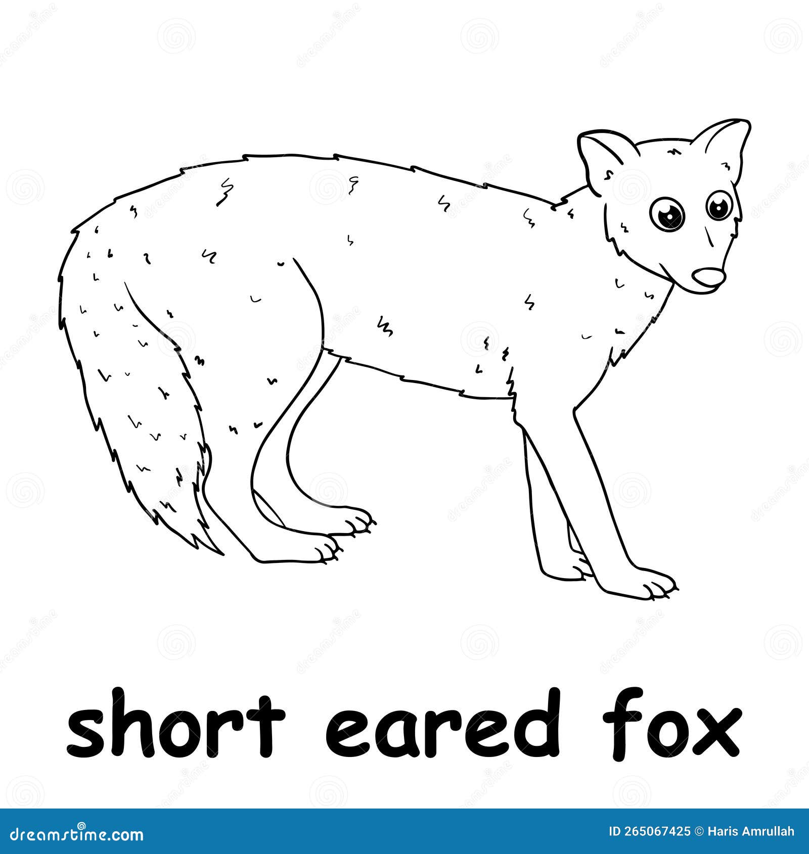 Kids Line Illustration Coloring Short Eared Fox. Outline Vector For ...