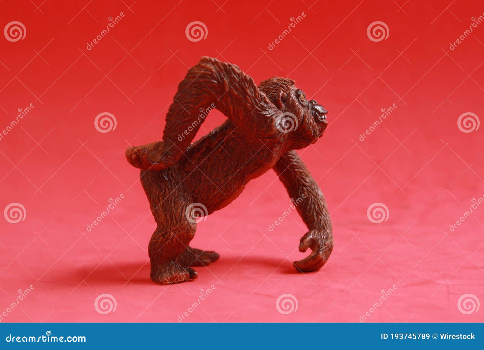 Rubber Ape Toy Isolated on Red Background Stock Image - Image of object ...