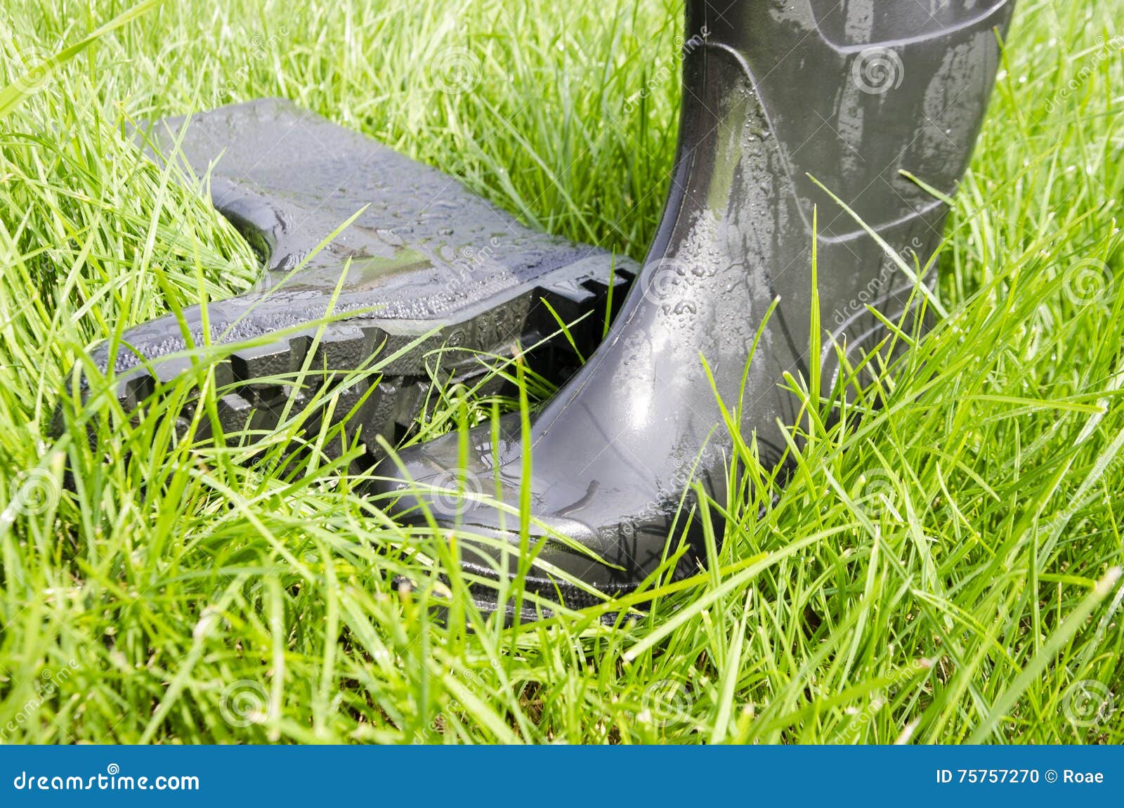 Rubber boots on the grass stock photo. Image of clothing - 75757270