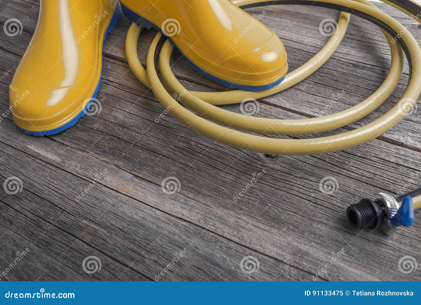 Rubber Boots and a Hose for Watering. Stock Image - Image of round ...