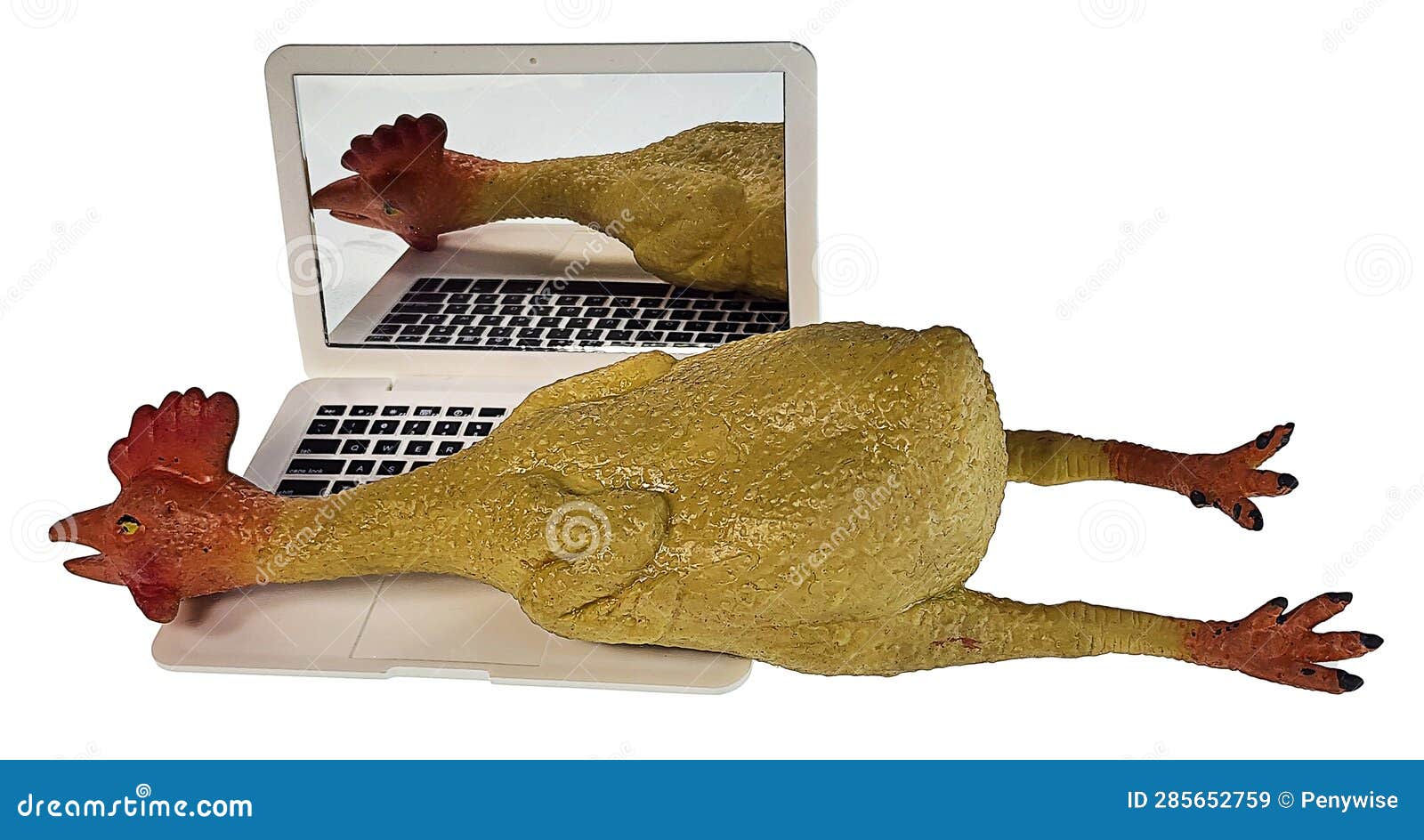 Rubber Chicken and Computer Stock Image - Image of tech, rubber: 285652759
