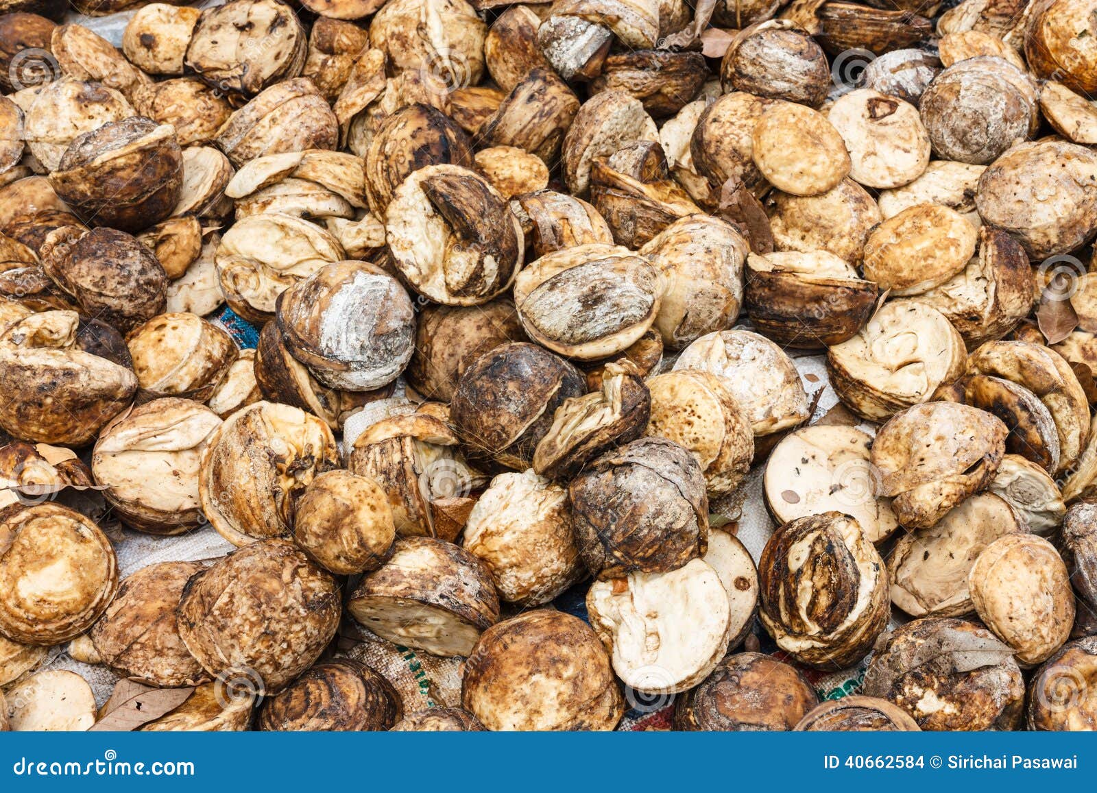 Rubber Cup Lump Stock Photo - Image: 40662584