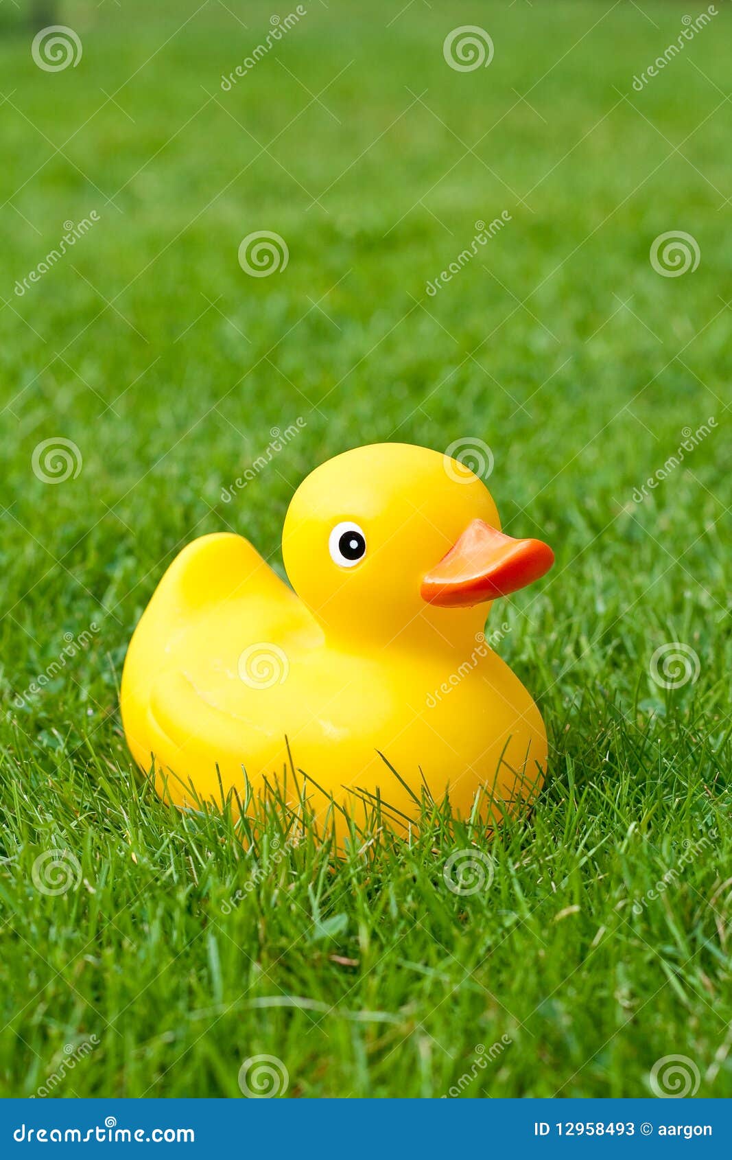 Rubber duck stock image. Image of smiling, bird, house - 12958493