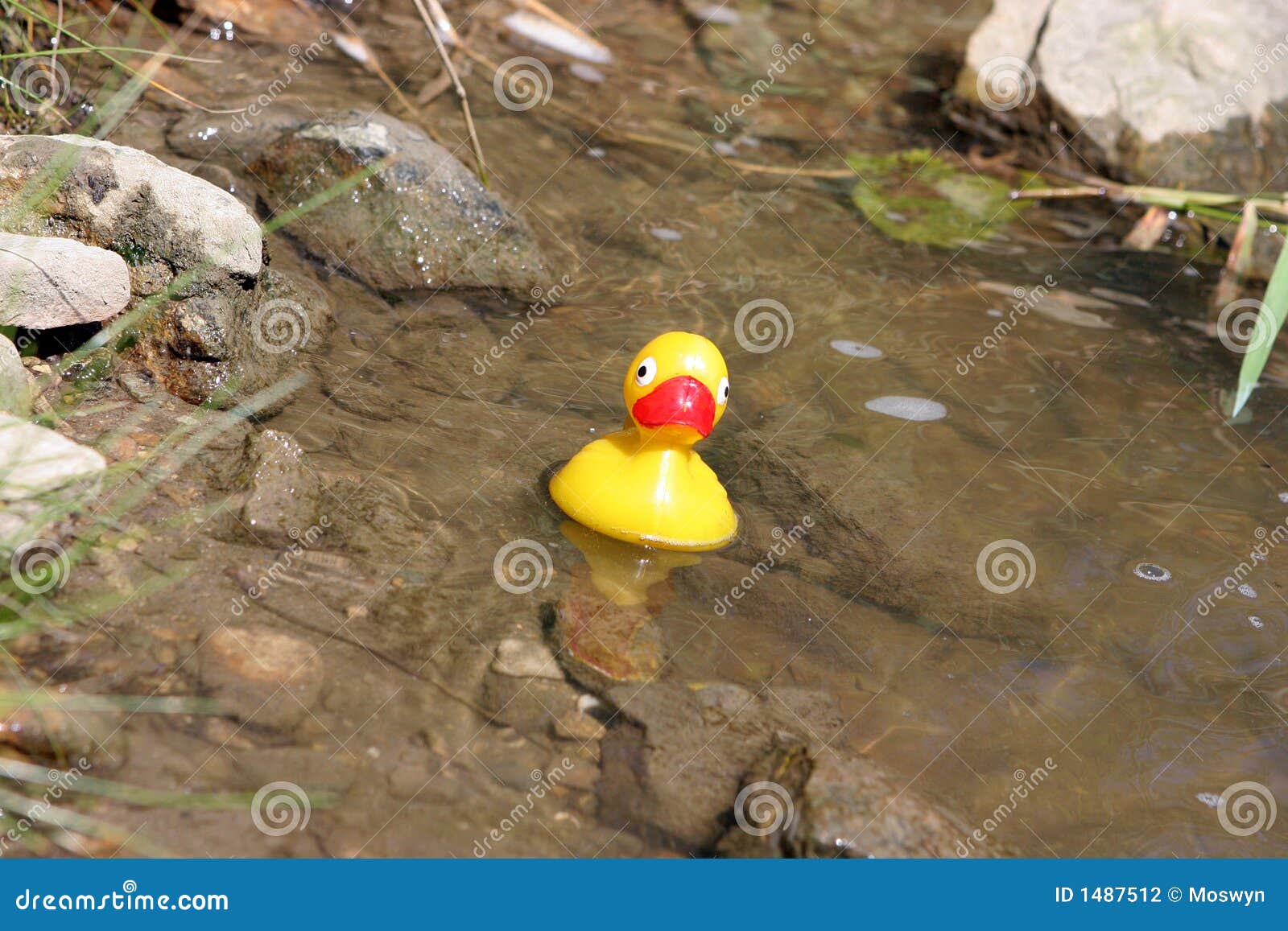 Rubber Duck Picture. Image: 1487512