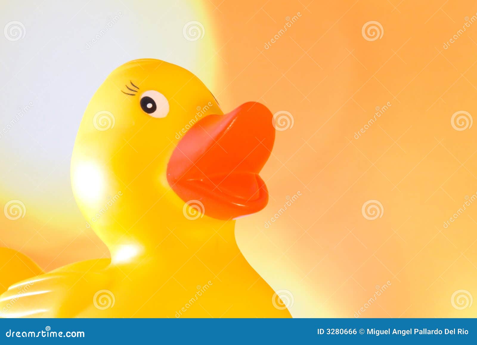Rubber Duck Picture. Image: 3280666