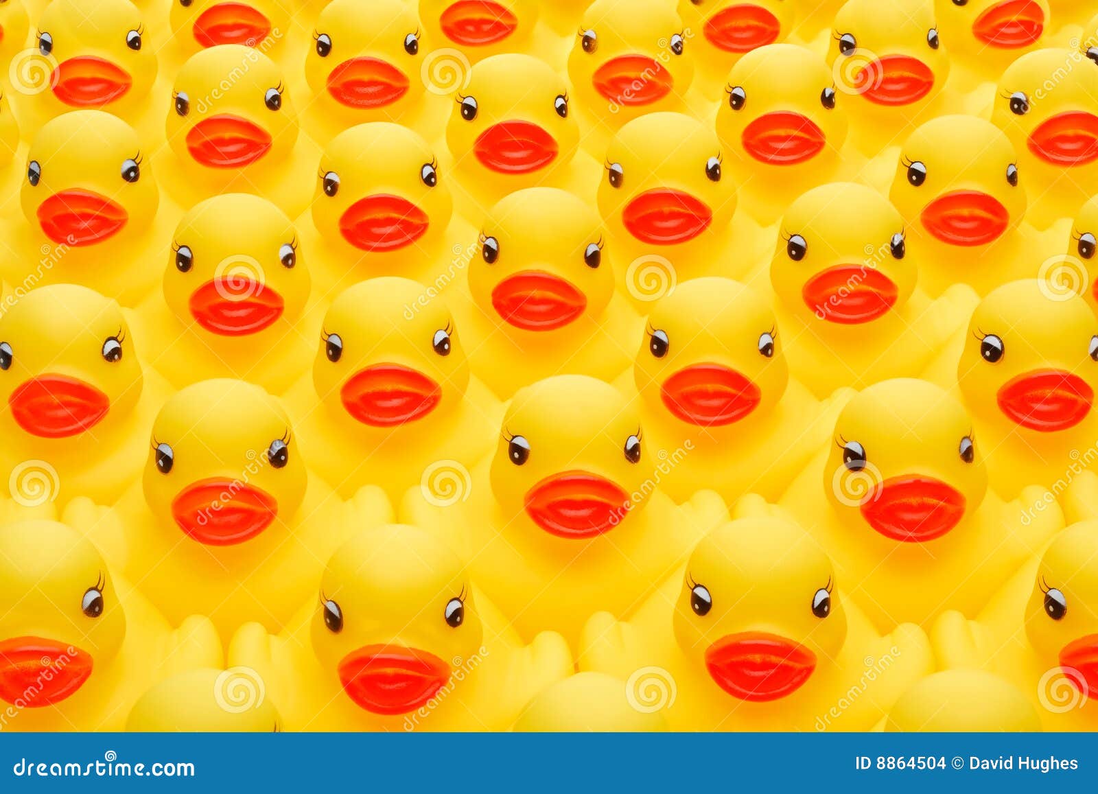 Rubber duck army stock photo. Image of ducky, colorful - 8864504