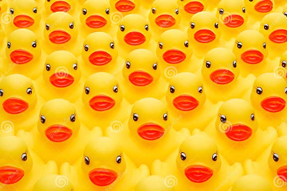 Rubber duck army stock photo. Image of ducky, colorful - 8864504