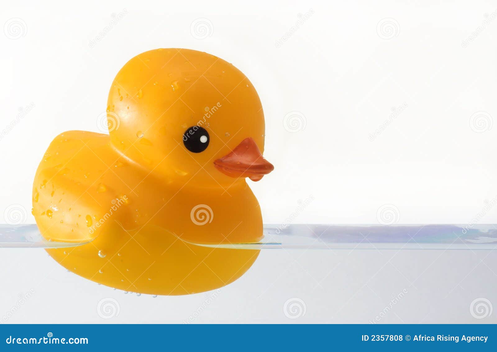 Rubber duck in bath stock photo. Image of water, ducky - 2357808