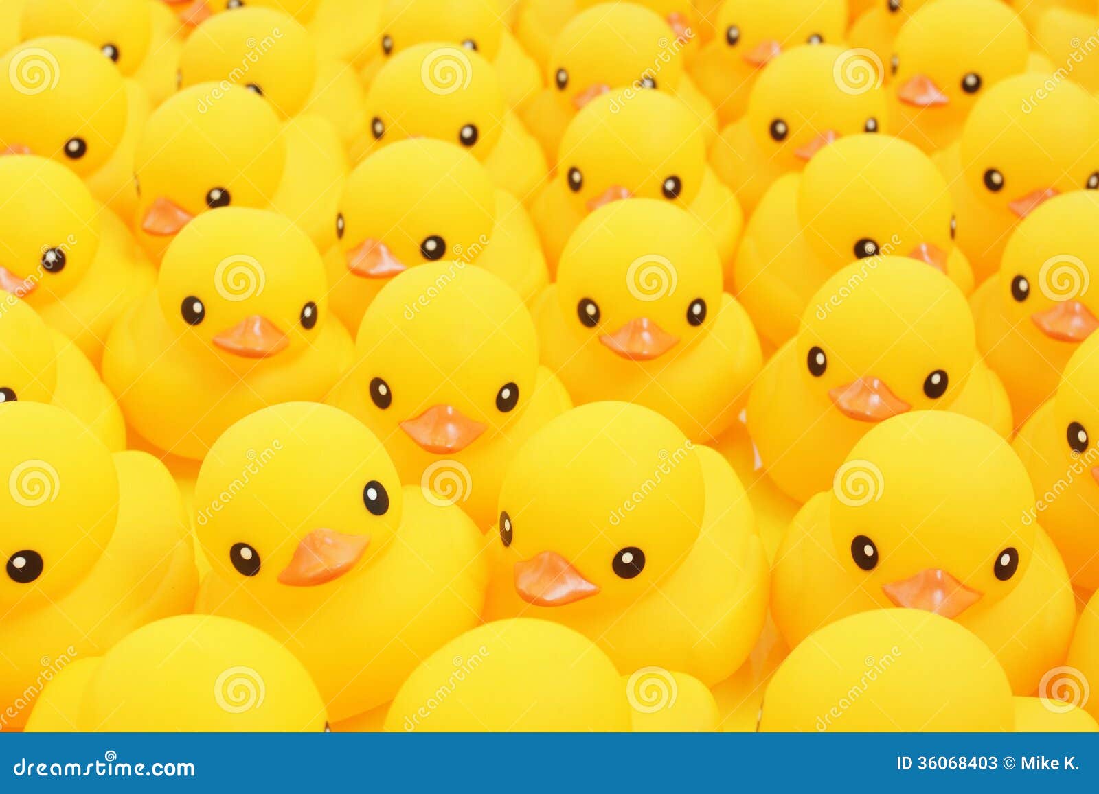 Rubber Duck stock image. Image of float, funny, play - 36068403
