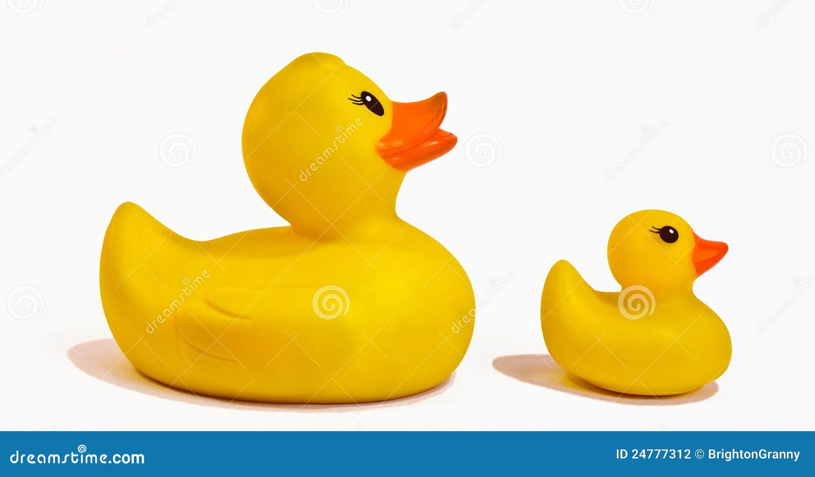 Mummy Duck With Ducklings Stock Photo | CartoonDealer.com #5891028