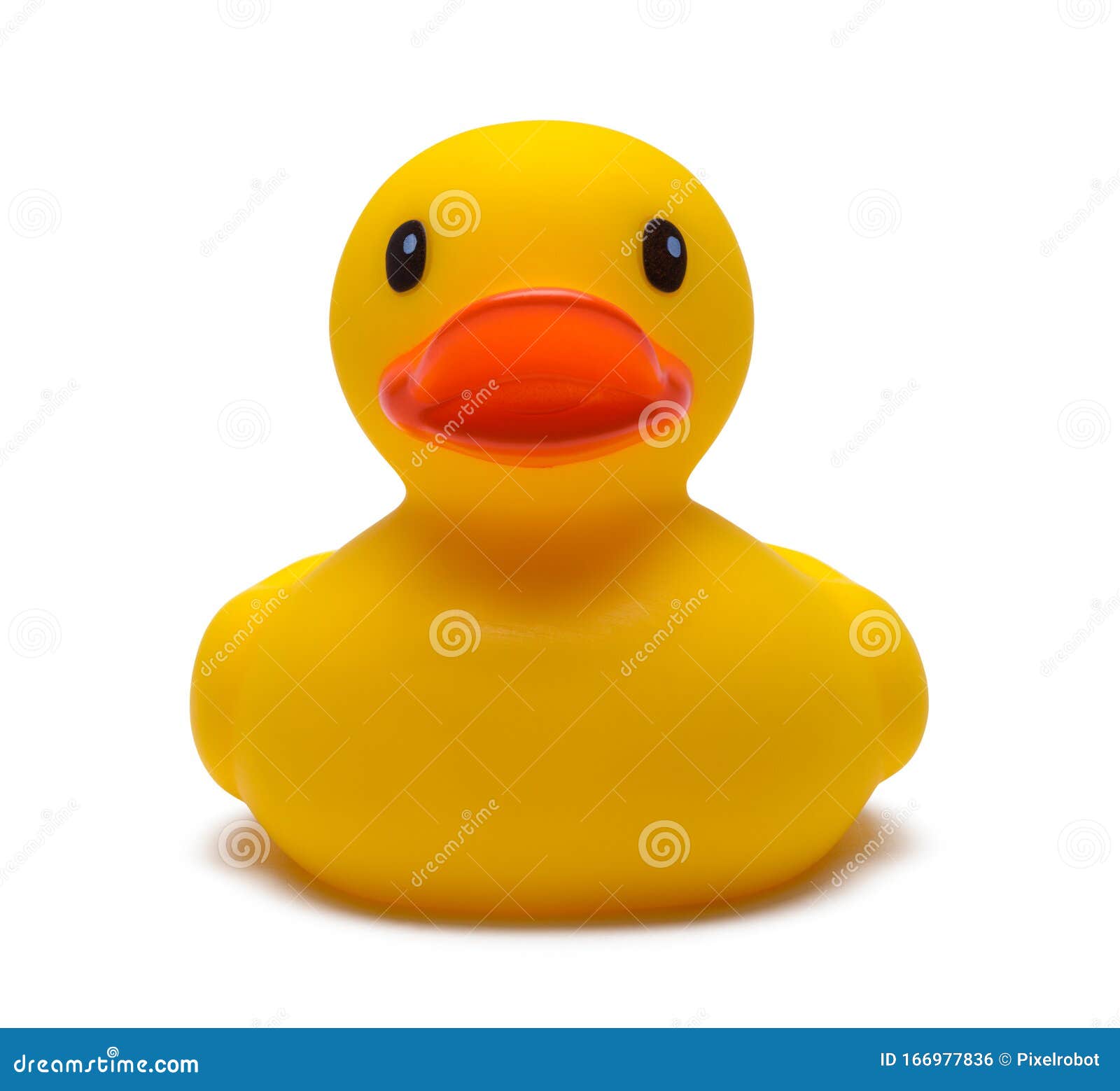 Rubber Duck Front stock photo. Image of isolated, plastic - 166977836