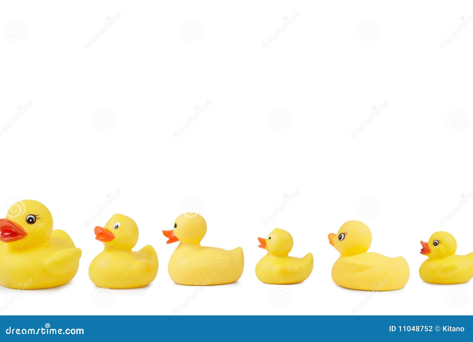 Rubber Duck Line stock photo. Image of individuality - 11048752