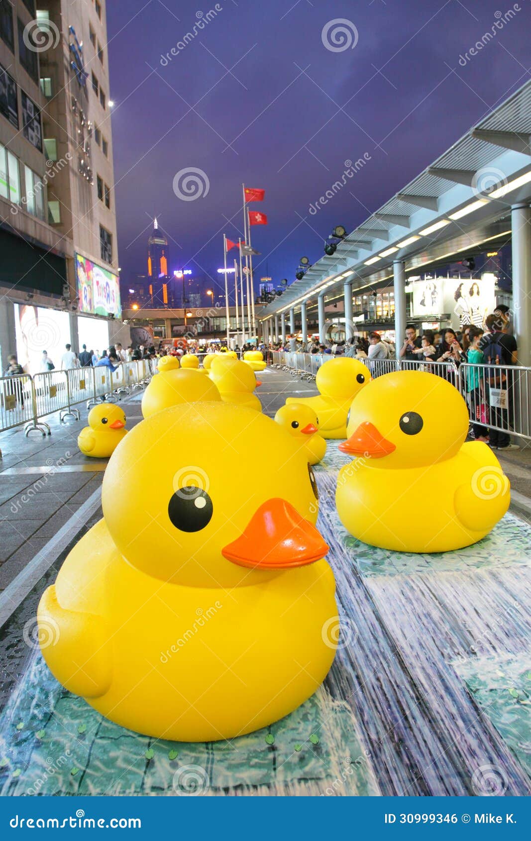 Rubber Duck Racing In The Harbor: Nearing The Finish Line Editorial ...