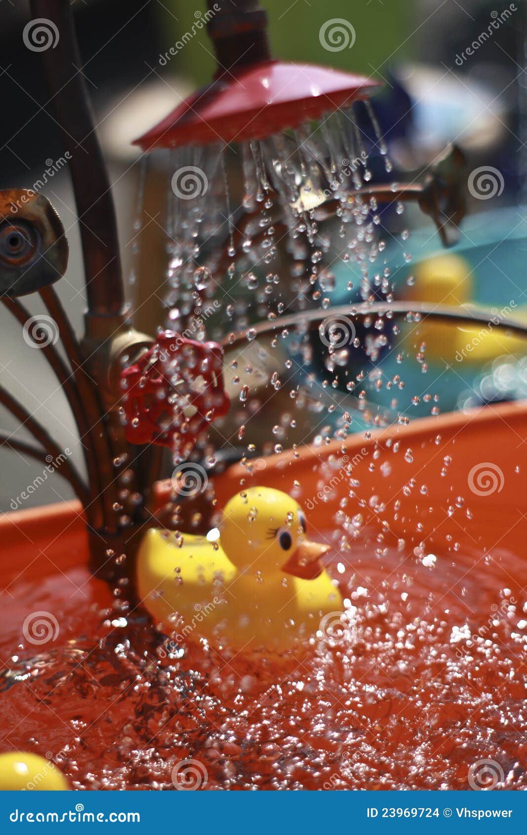 Rubber duck showering stock photo. Image of shower, bathe - 23969724