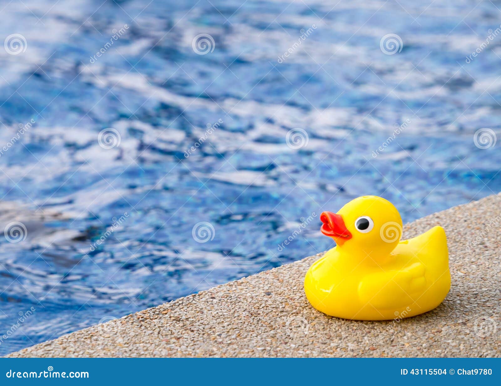 Rubber Duck beside the Swimming Pool Stock Photo - Image of water, pool ...