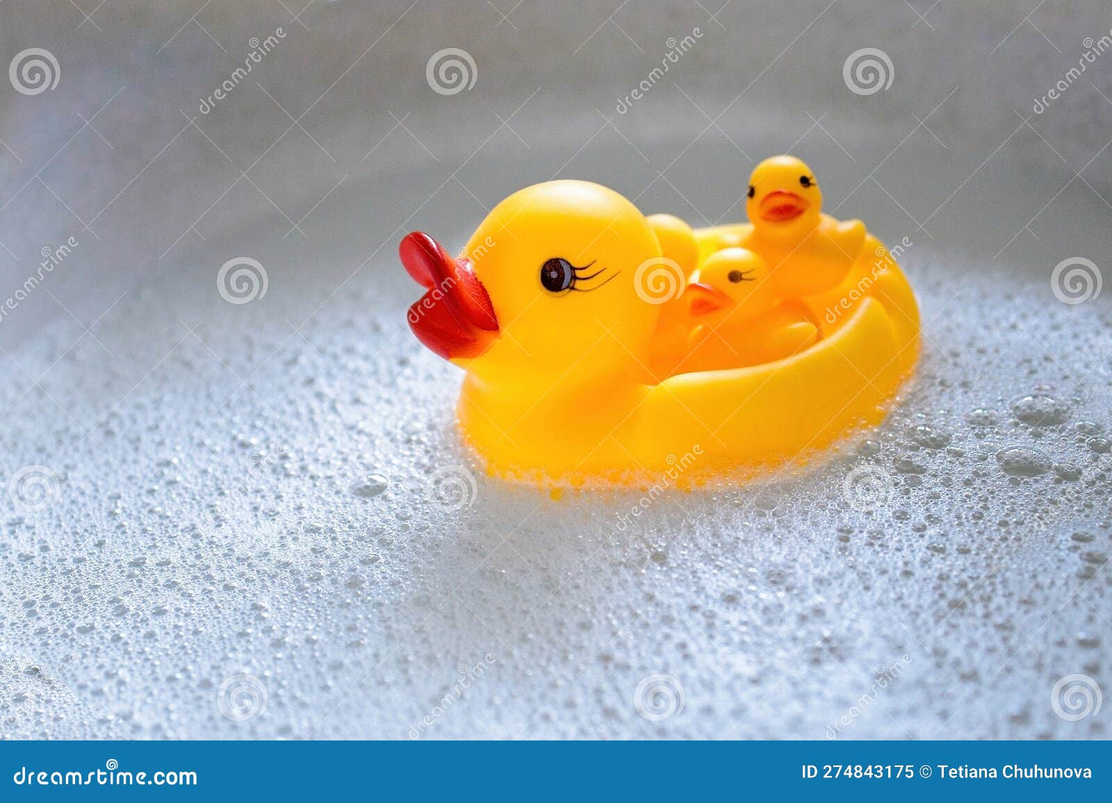 A Rubber Duck with Three Ducklings Swims in the Foam. View from Above ...