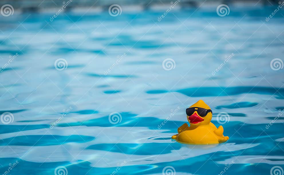 Rubber duckie editorial stock photo. Image of pool, white - 43398978