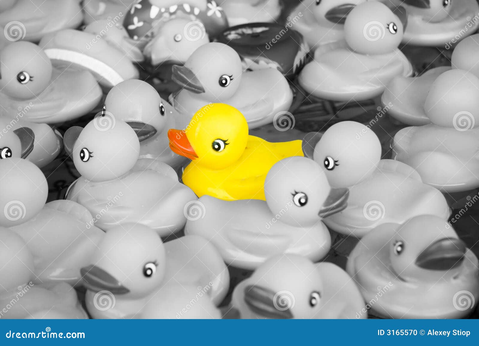 Rubber Ducks In A Tub Stock Photo | CartoonDealer.com #3294510