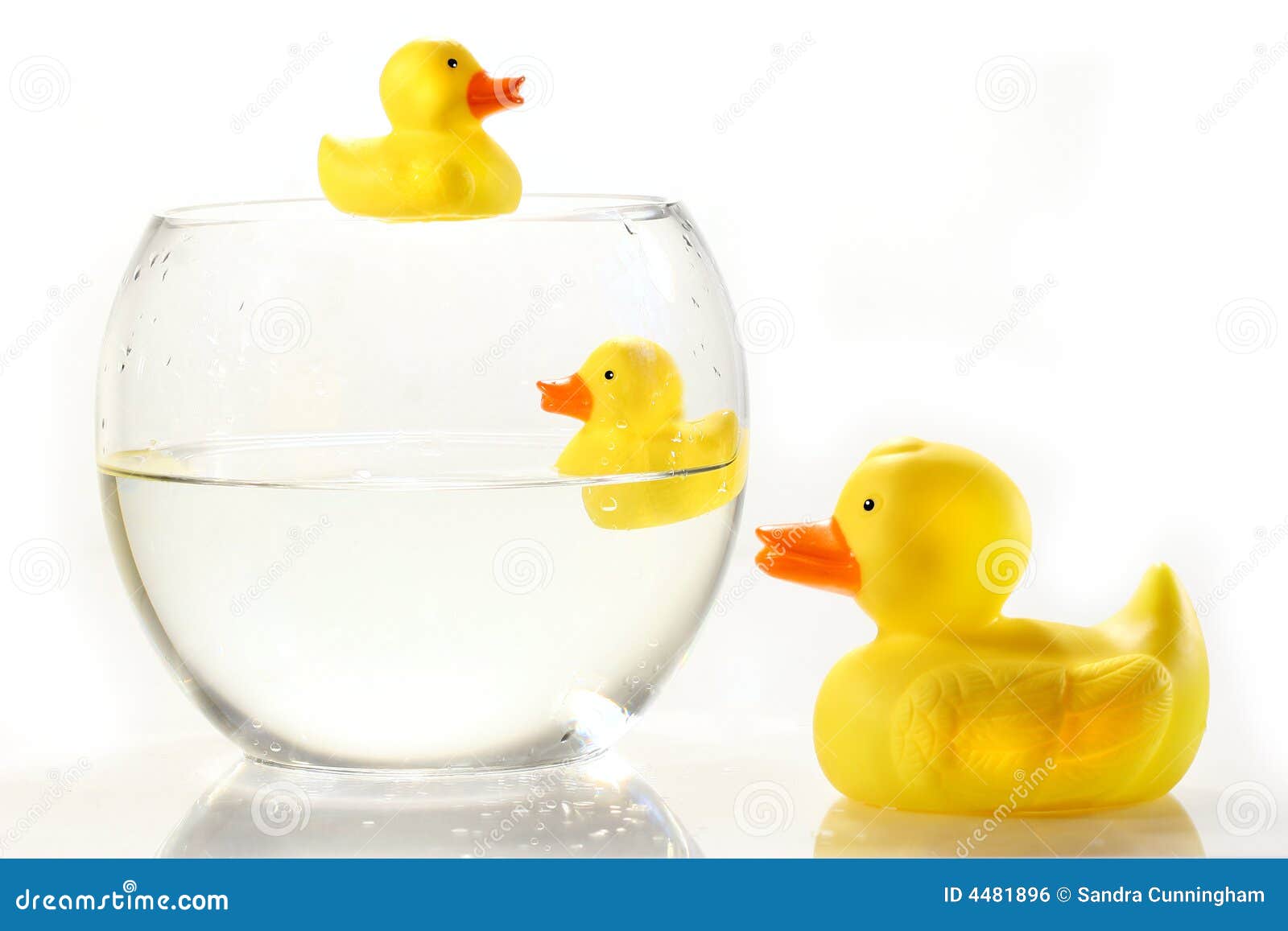 Rubber Ducks Fish Bowl Photos - Free & Royalty-Free Stock Photos from ...