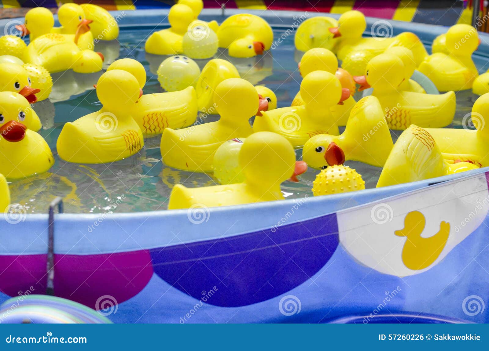 Rubber Ducks Floating in Pool at Fair Stock Photo - Image of yellow ...