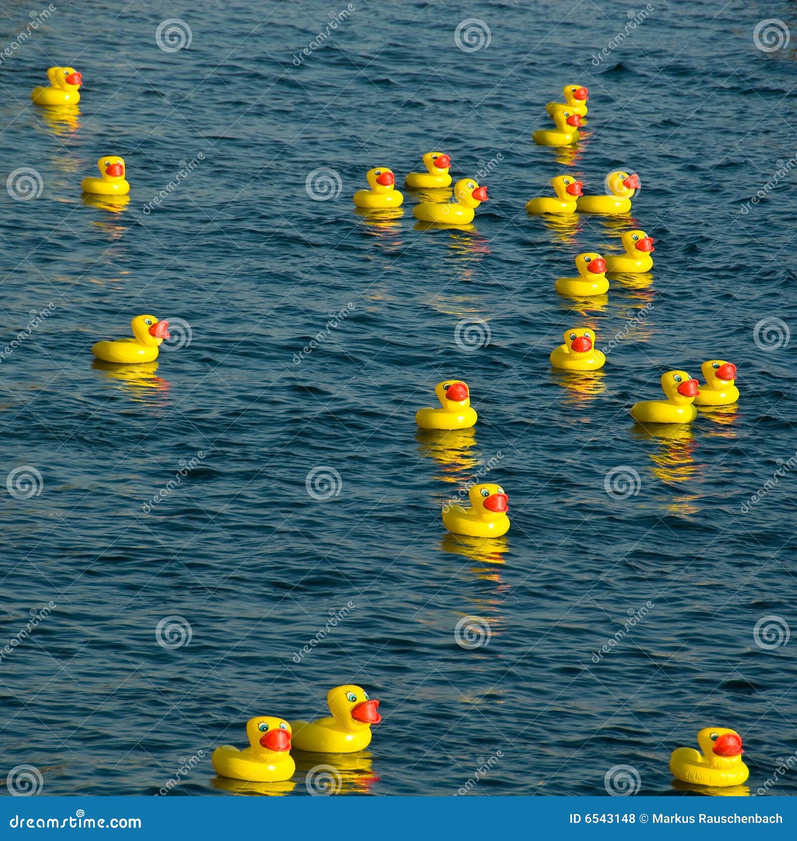 Rubber Ducks Floating on River Stock Photo - Image of blue, river: 6543148