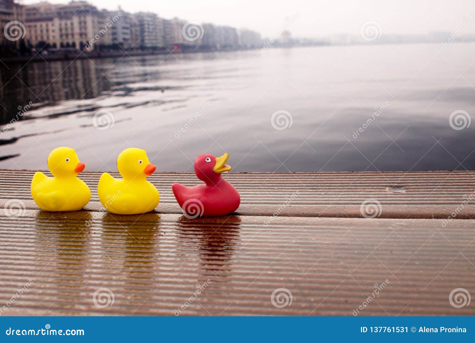 Rubber ducks near the sea stock image. Image of yellow - 137761531